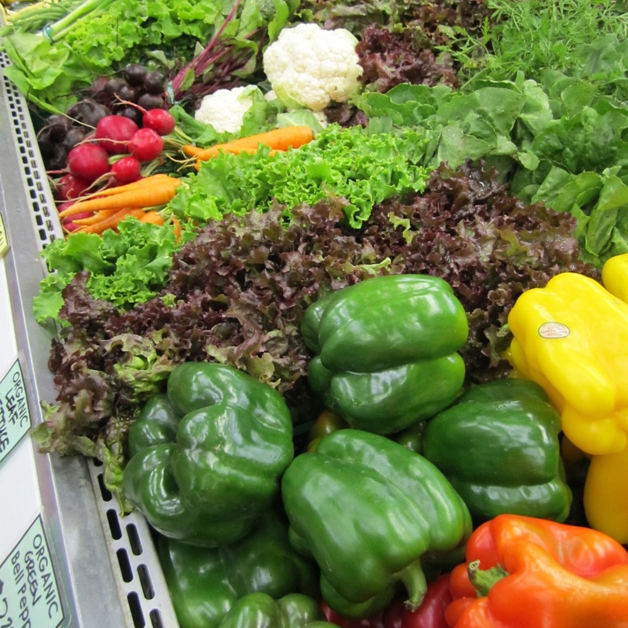 Fresh Produce Tags for Supply Chain Traceability | insignia – Insignia-au