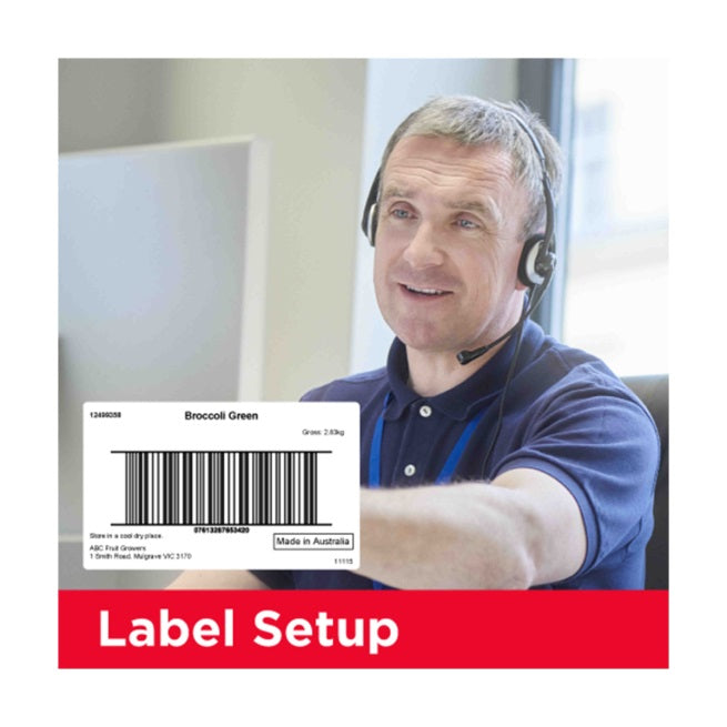 BarTender Support - Remote Setup for General Labels - insignia